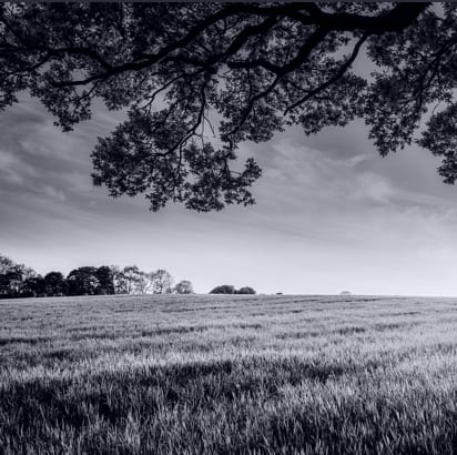 HJ Lea Oakes - Independent Animal Feed Manufacturers Since 1675
